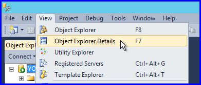 Object Explorer Details footer section – AKAWN